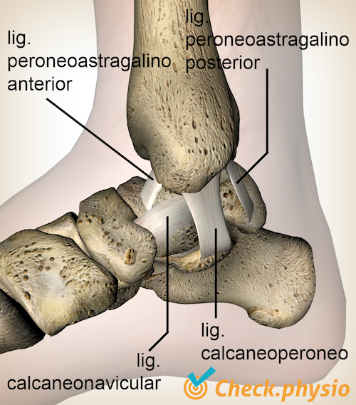 Lesión del ligamento medial del tobillo
